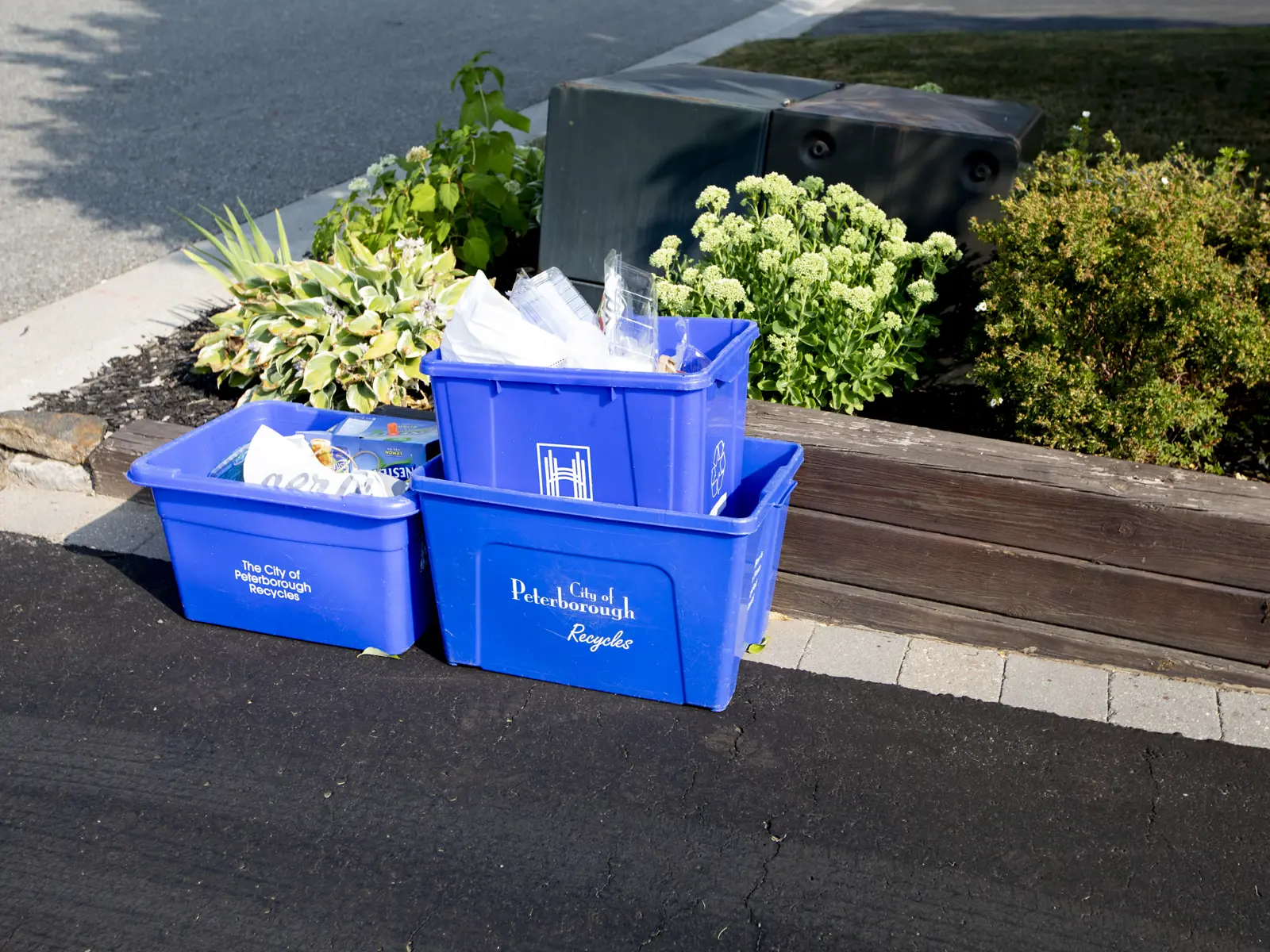 Garbage and Green Bin | City of Peterborough